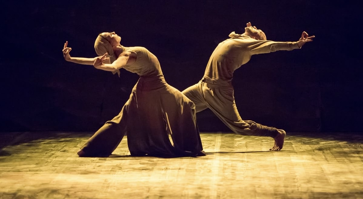 Le diversità tra danza moderna e danza contemporanea
